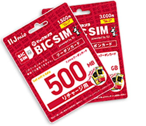 BIC SIMプリペイドパック｜ビックカメラの格安SIM・BIC SIM（ビックシム）